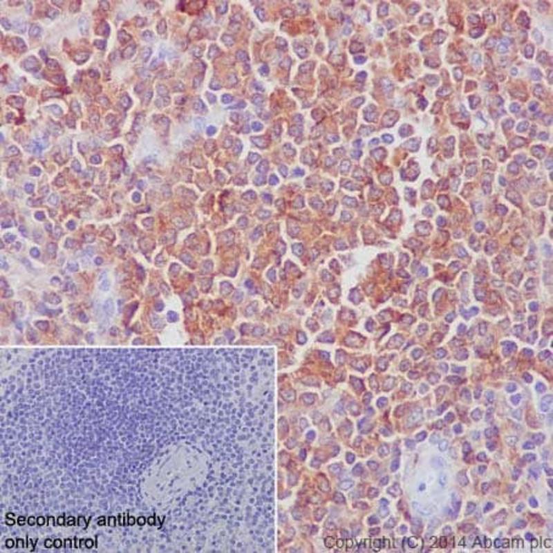 P16 - 学习笔记-FZBL.TOP